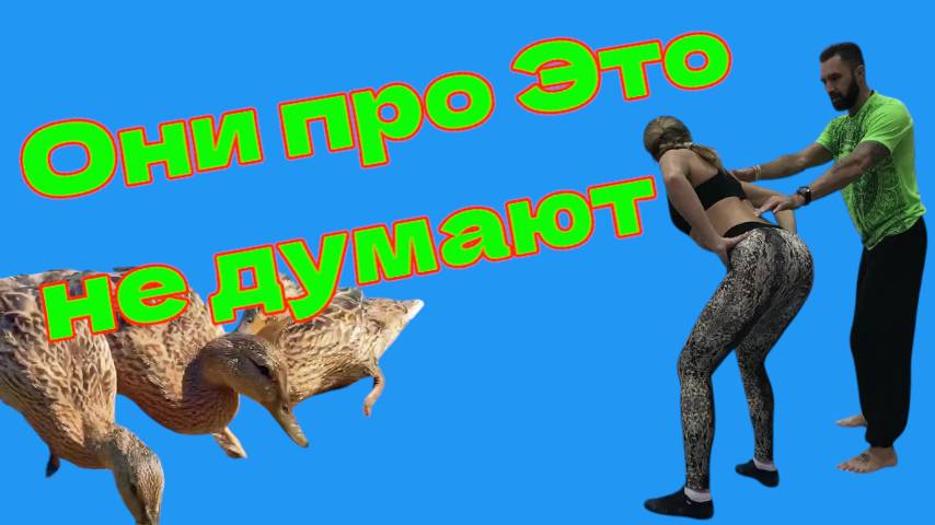 Основной инстинкт