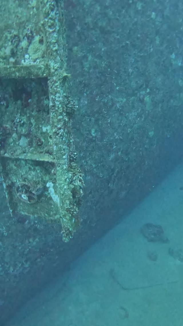 Million hope (Миллион Хоуп) wreck, дайвинг в Египет, дайвинг в Шарм эль шейх, 2024