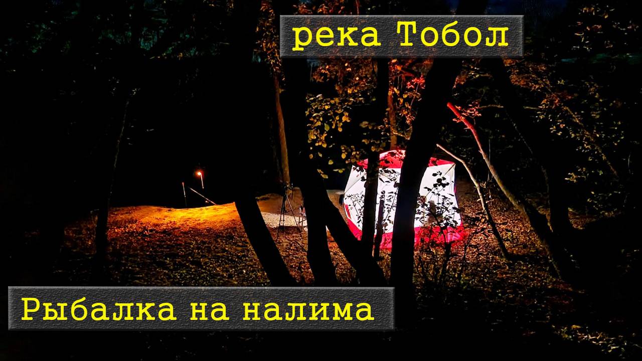Осенняя ночная рыбалка на налима или как карась с язь не давали мне ловить налима