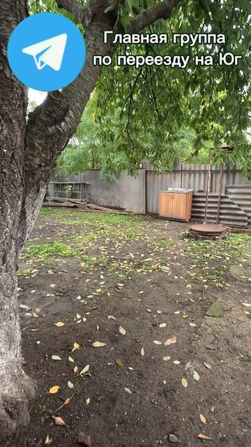 🏡 Отличный Дом !📋 90 м2 16,5 соток💰5 600 000 ₽ 📍станица Привольная📲 8 924 540 49 92 🌴 Виктор