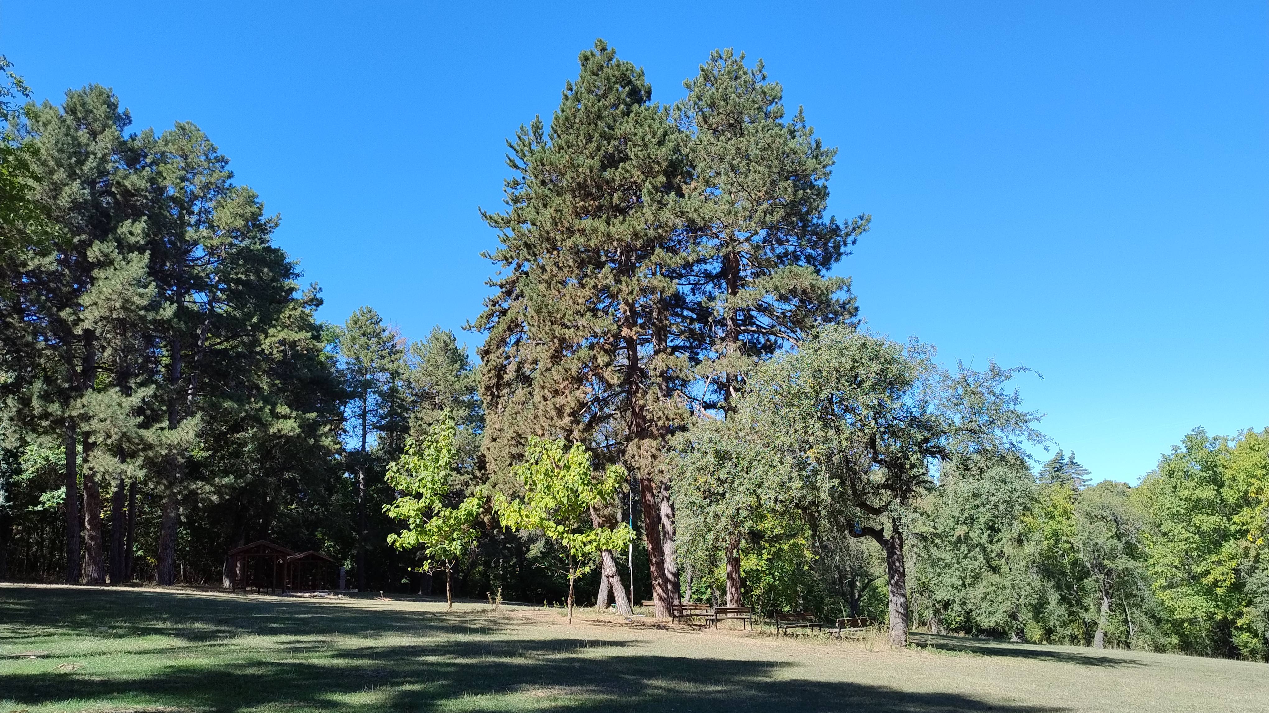 ИЗ ПЛЕВЕНСКА ОБЛАСТ /част 42/  Левски - Плевен