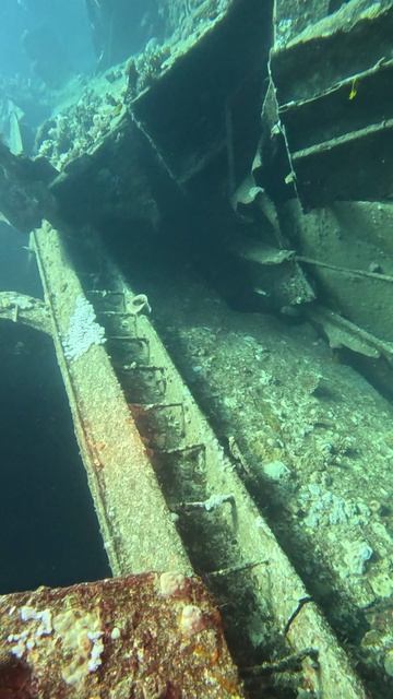 Million hope (Миллион Хоуп) wreck, дайвинг в Египет, дайвинг в Шарм эль шейх, 2024
