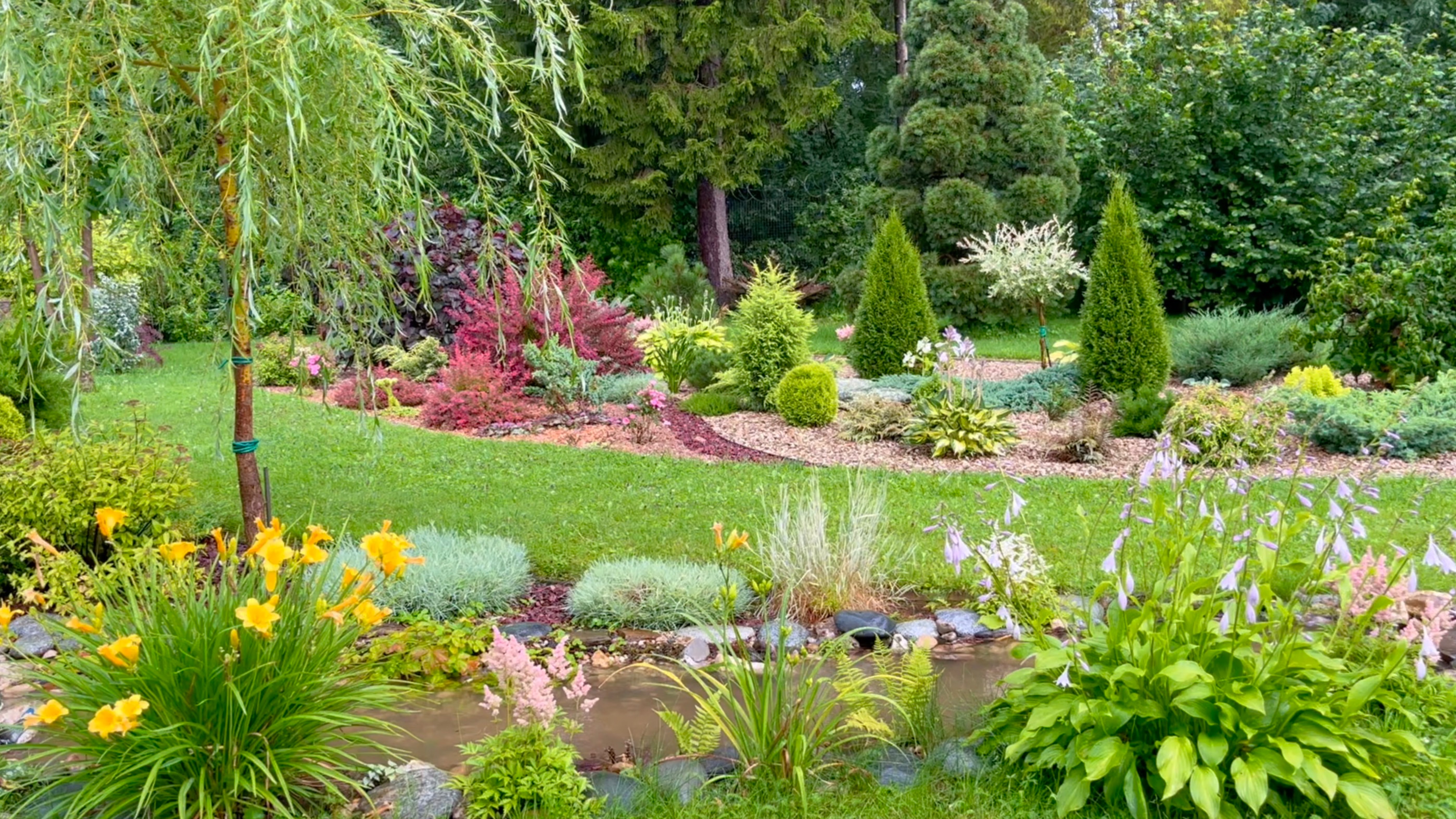 Кустарники и многолетние  растения в рокарии в поддержку хвойным. 2025г.