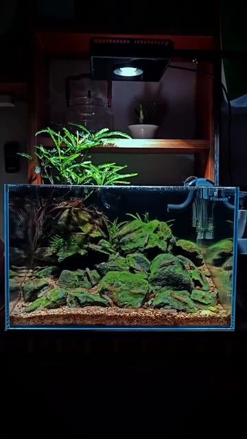 Начинаем_выходные_со_спокойствия,_расслабляемся_и_медитируем)