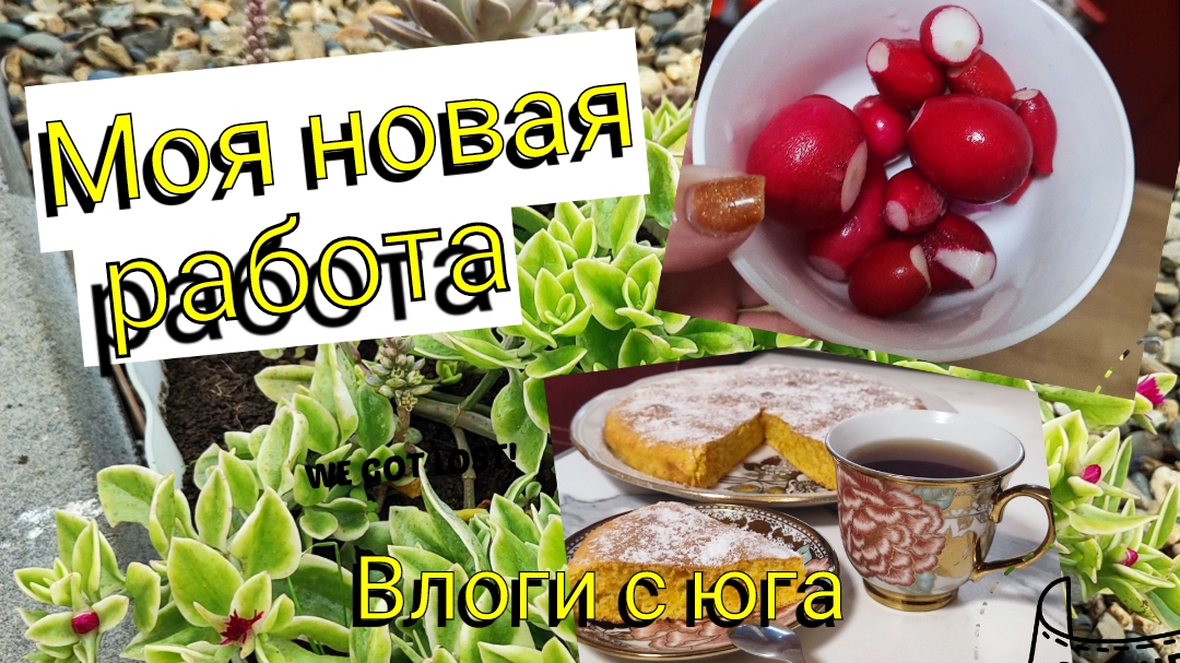 Влоги с юга🌞Моя новая работа💼 Своя редиска😃 Морковный пирог🍰