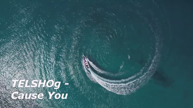 TELSHOg - Cause You
