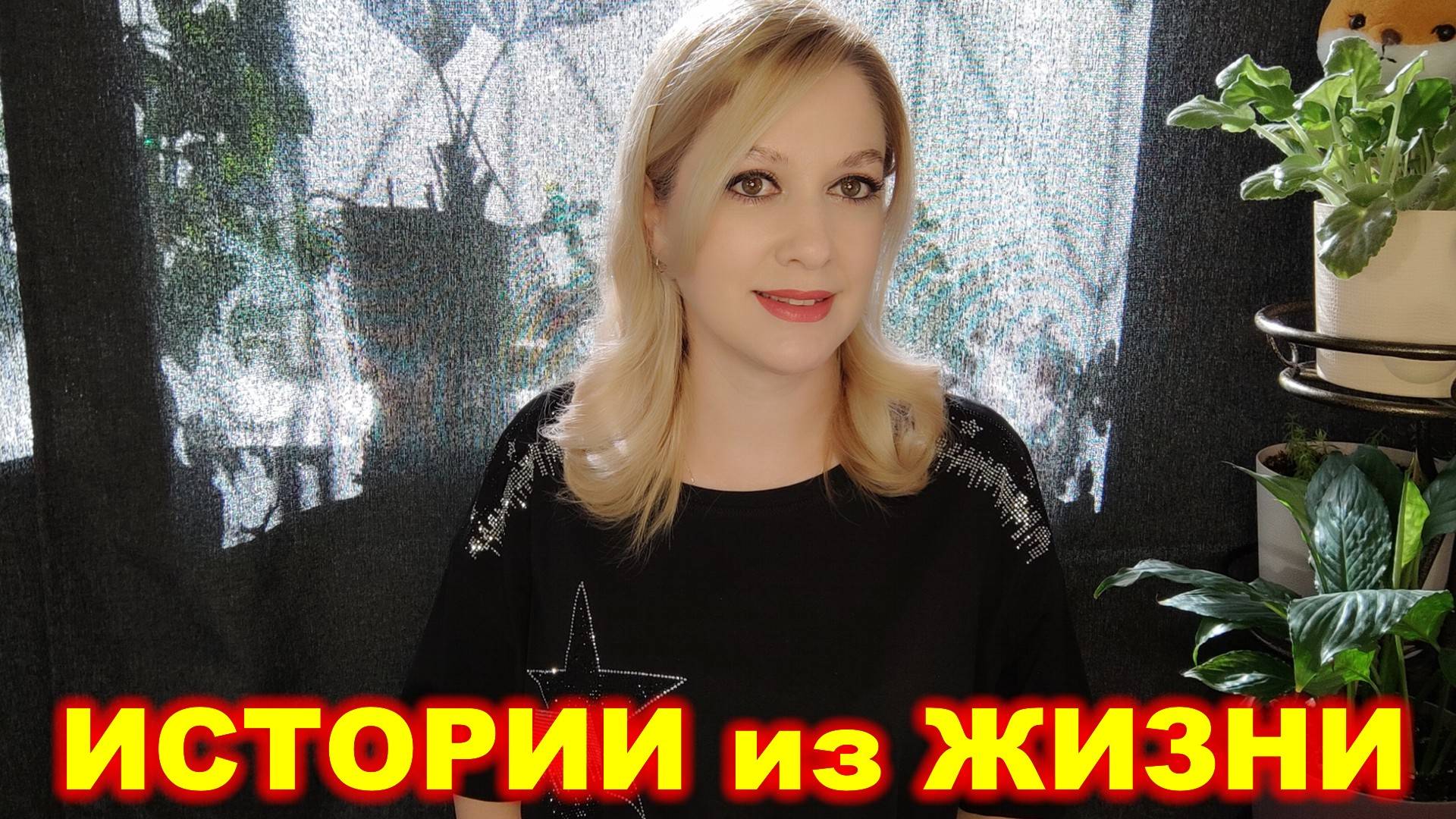 Истории из жизни. Двойная такса