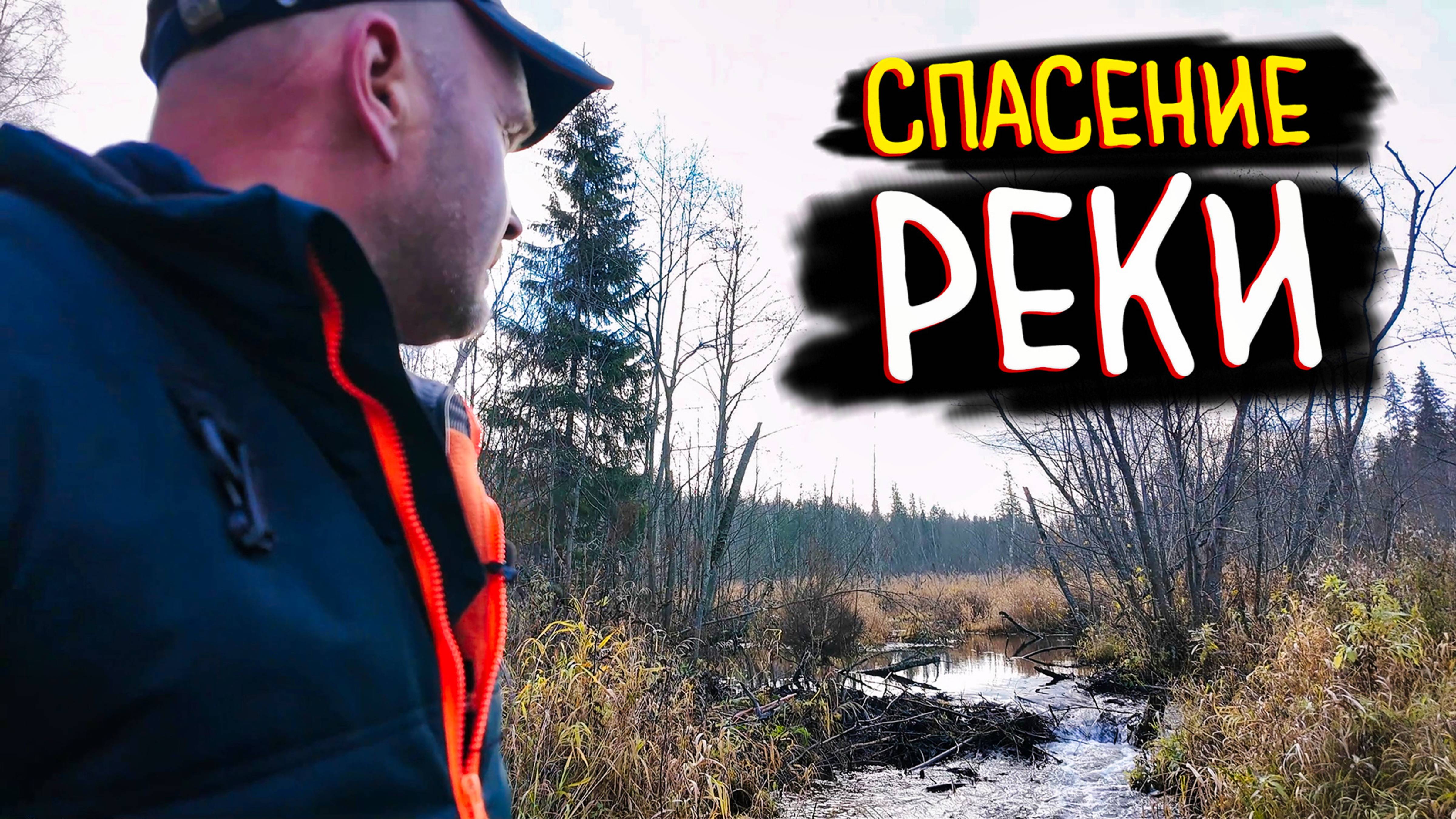 БОБРОВАЯ ПЛОТИНА: Разбор Самой Большой Запруды в Лесу | Опасная Работа