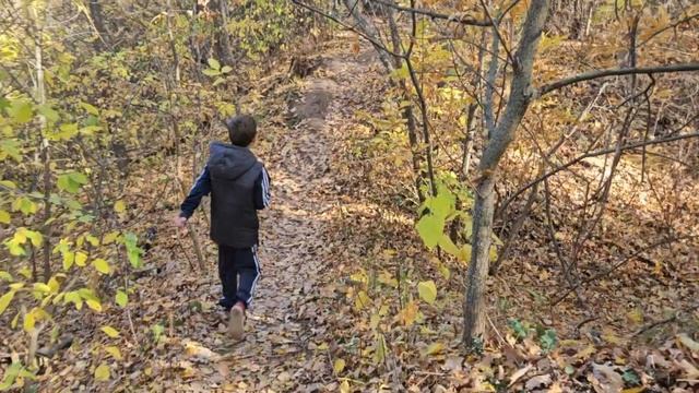 "Обитель птиц", эко тропа в Волгоградской области