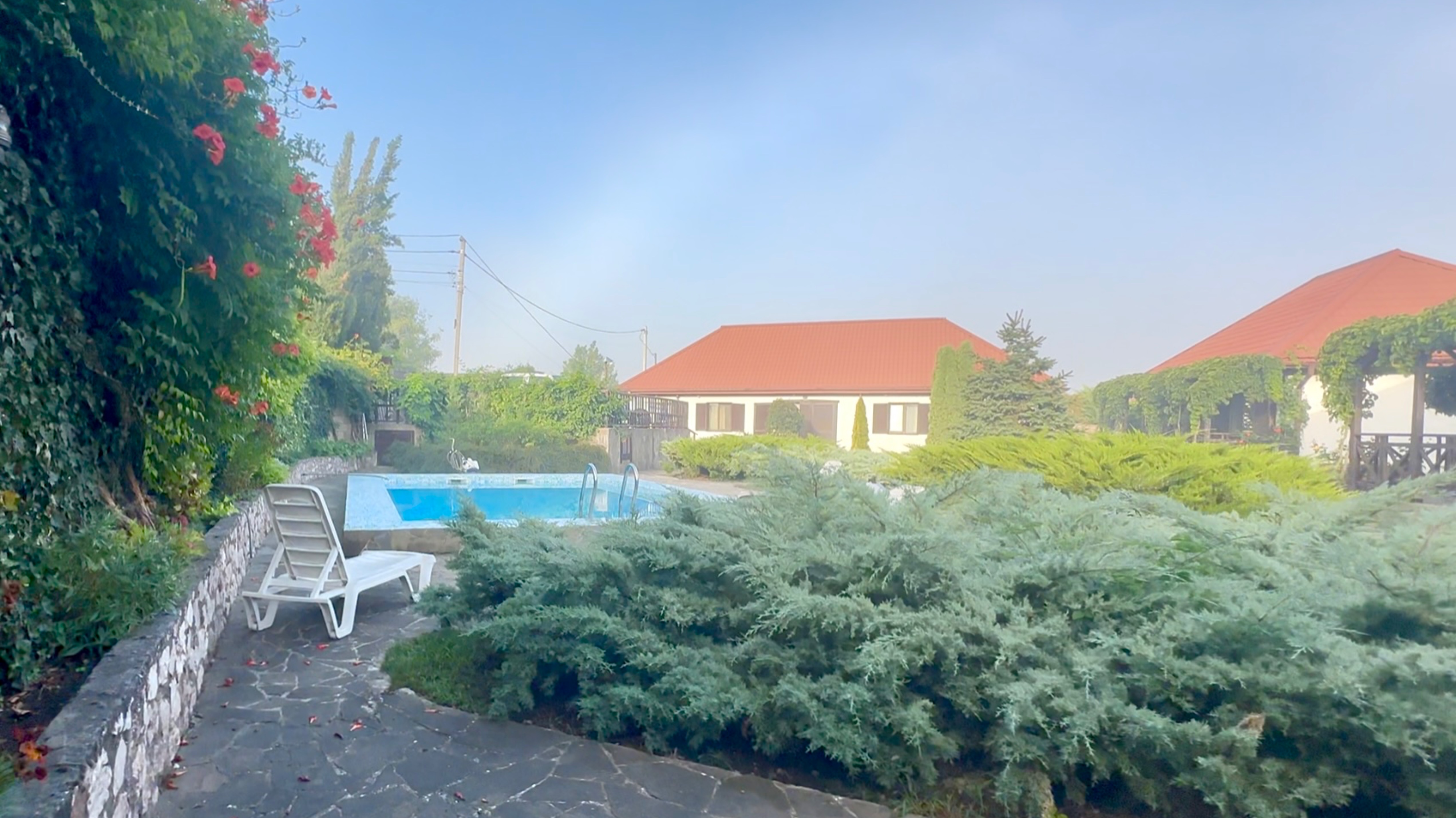 Утро туманное с петухами Байдарская долина Крым  село Орлиное Гостевой дом