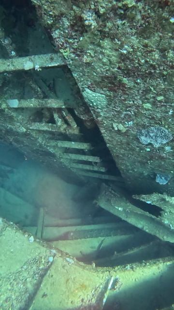 Million hope (Миллион Хоуп) wreck, дайвинг в Египет, дайвинг в Шарм эль шейх, 2024