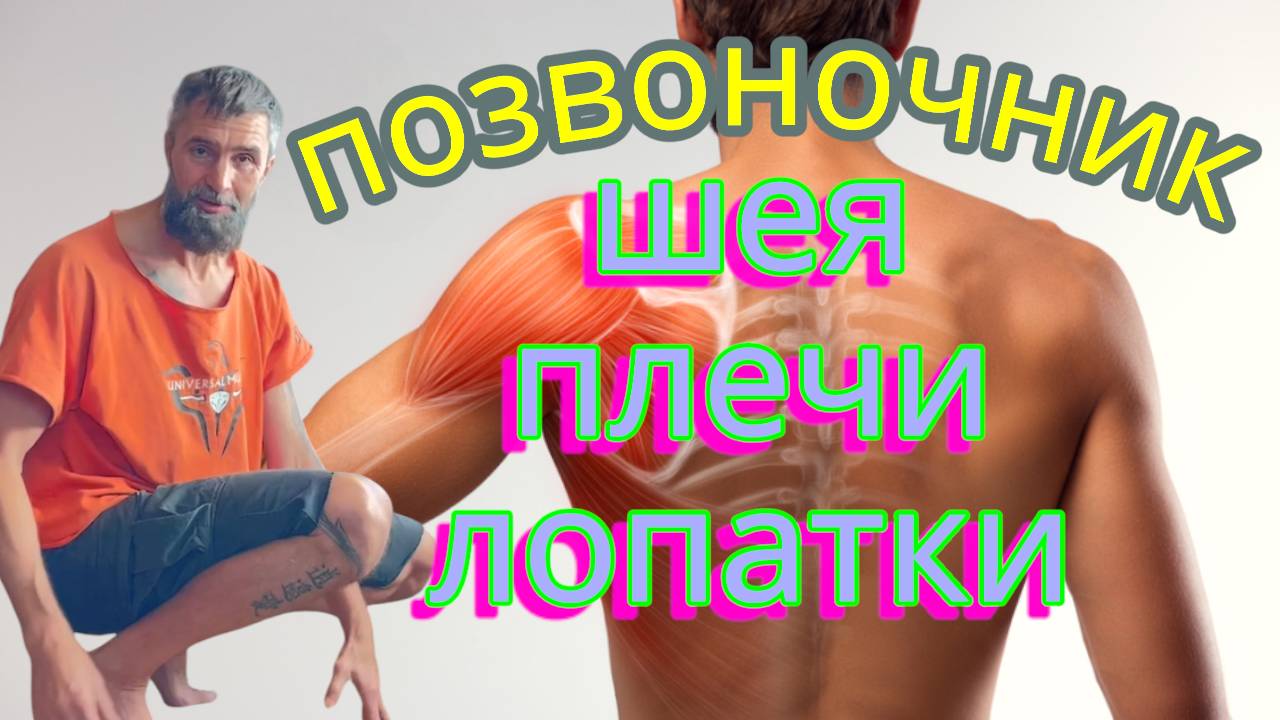 Зарядка для всего позвоночника плечи и лопатки