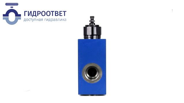 DBDS30G1X/315 гидравлический клапан давление Rexroth (аналог)