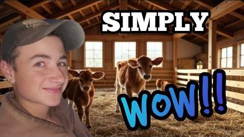 Канадская семья в НН..＂New Calf Pen Reveal： Cozy & Modern Barn Upgrade!＂