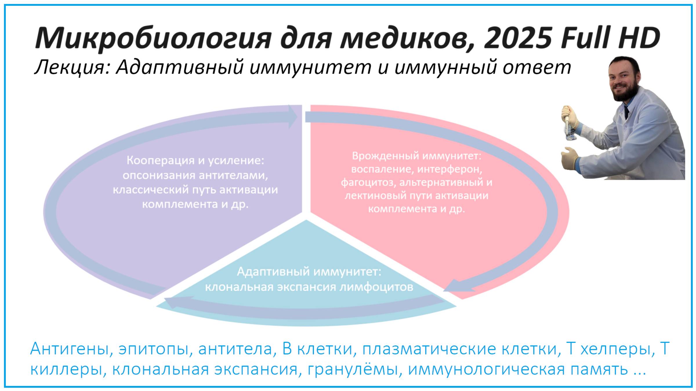 Адаптивный иммунитет и иммунный ответ