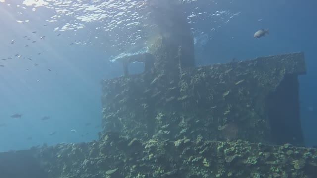 Million hope (Миллион Хоуп) wreck, дайвинг в Египет, дайвинг в Шарм эль шейх, 2024