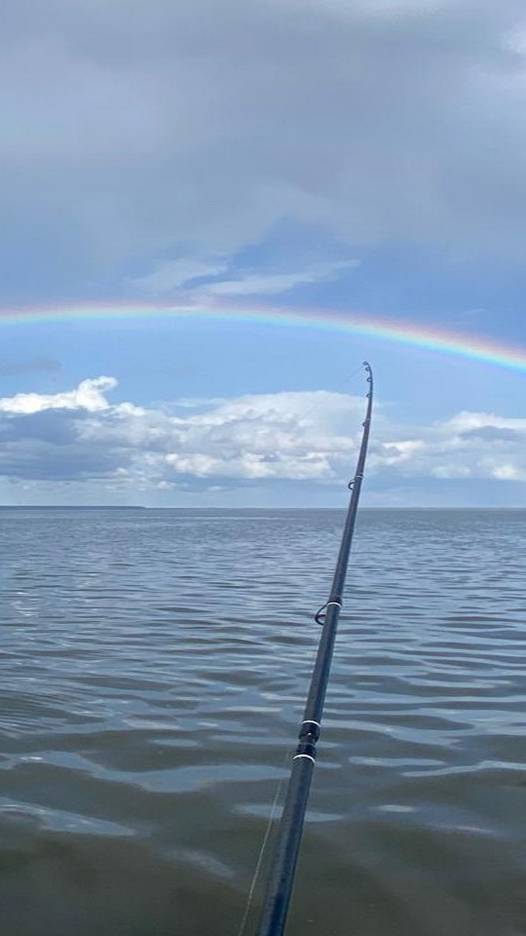 На Нарвском с воблером Celt