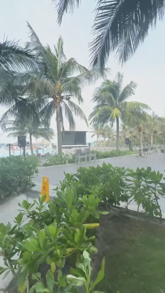 Swandor Свандор Cam Ranh Resort Вьетнам, Камрань