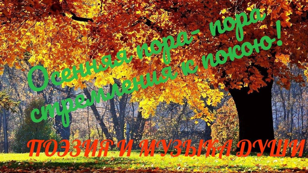 Осенняя пора-пора стремления к покою.Автор стихотворения А.Соколов. Автор видео В. Голикова.