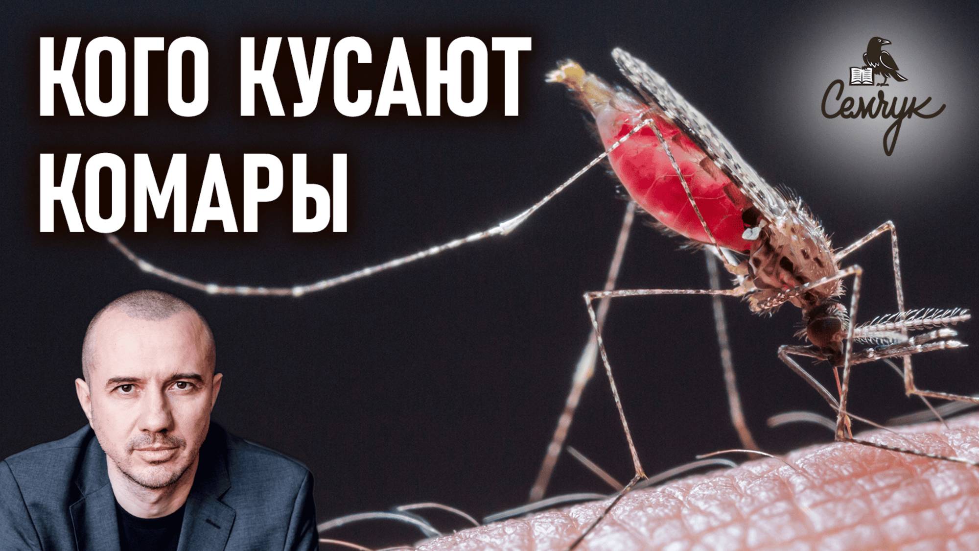 Почему людей кусают комары. Как избавиться от аллергии на укусы комара. Феноменальная психосоматика