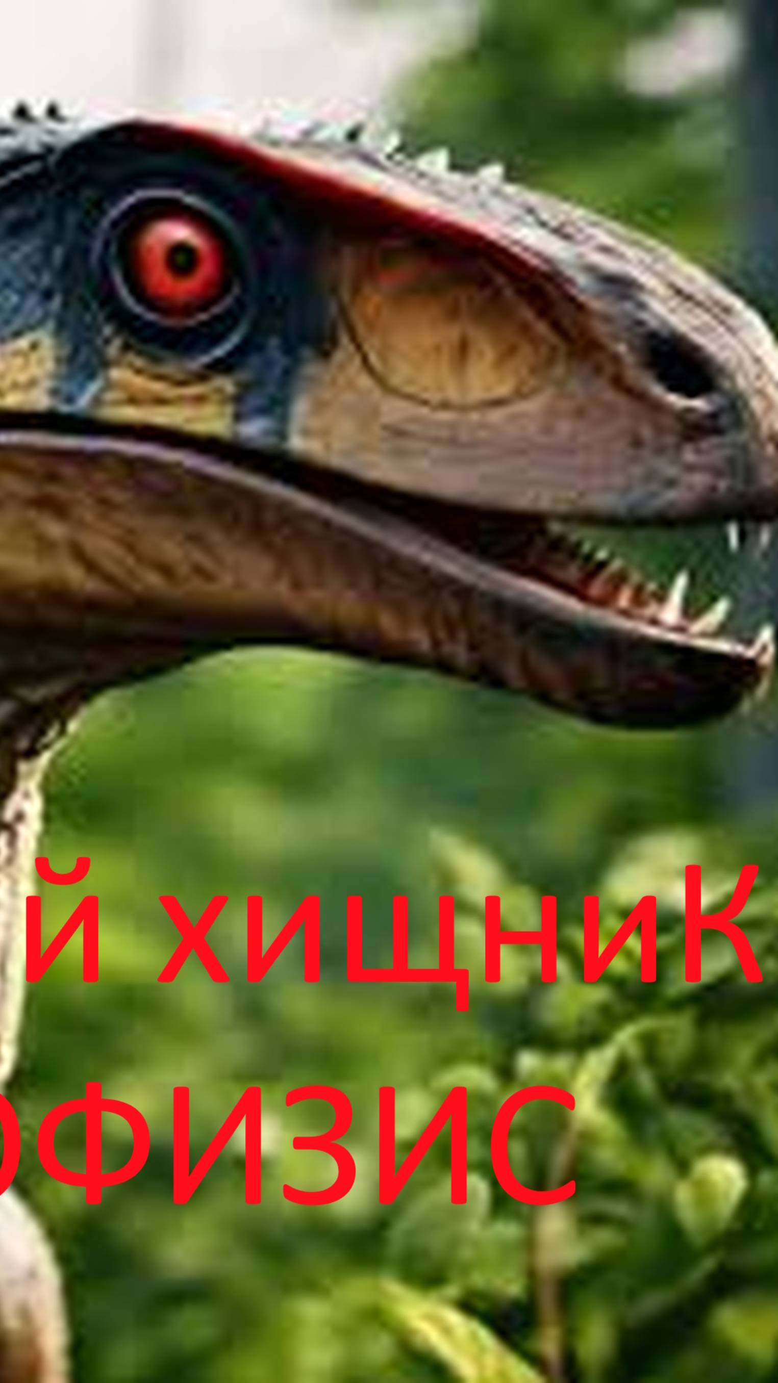 Самые интересные факты о динозавре ЦЕЛОФИЗИС.