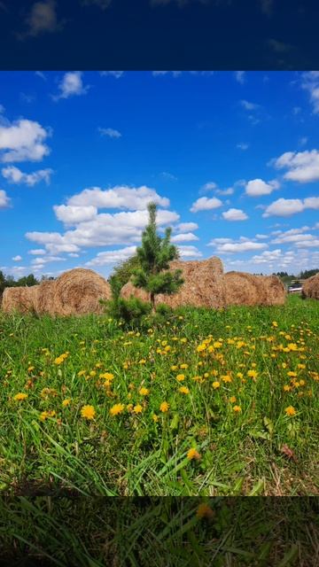 почему небо голубое