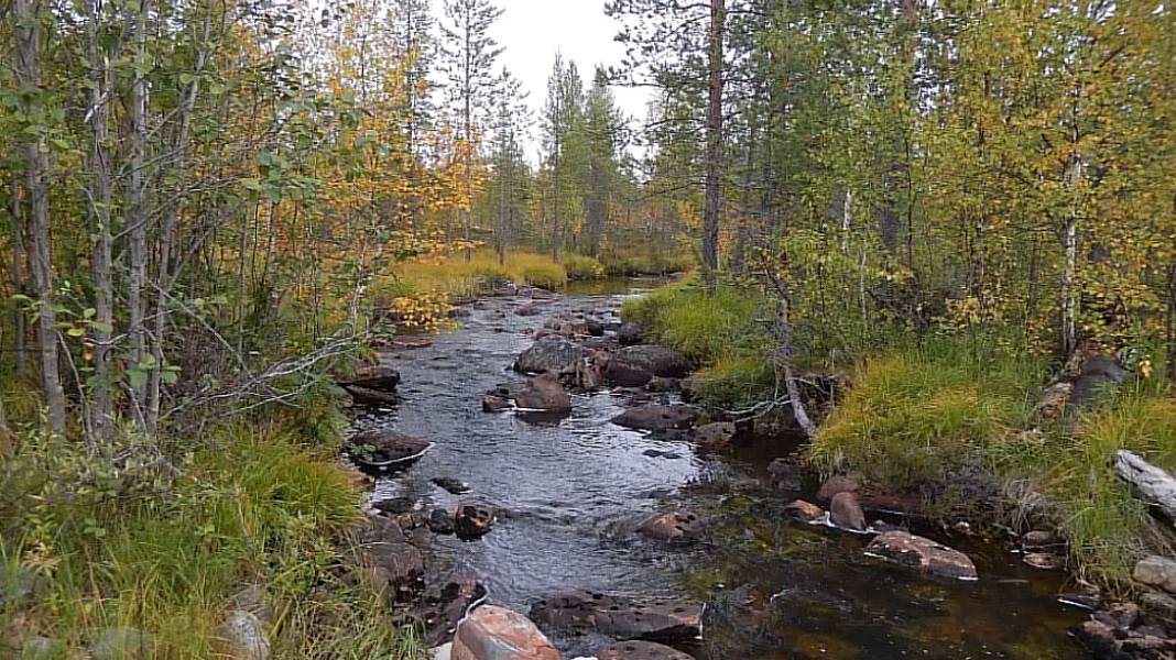 Ручьи Кольского полуострова. Центр. Мончегорск. Слайды с озвучкой. 19.10.25.