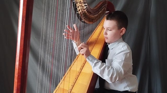 Э. Поццоли. Этюд № 42. Исп. Пронин И.