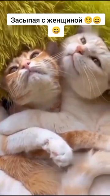 Засыпая с женщиной...