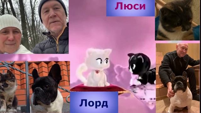 Старый Оскол - forever. Фильм 3. Питомцы