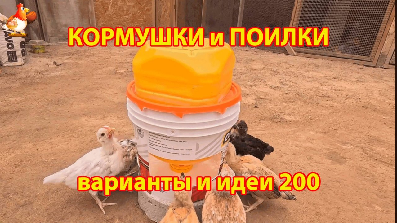Кормушки и поилки для кур своими руками (200) 🪚✂️ Пошаговая инструкция как сделать 🐔 🐓❣️