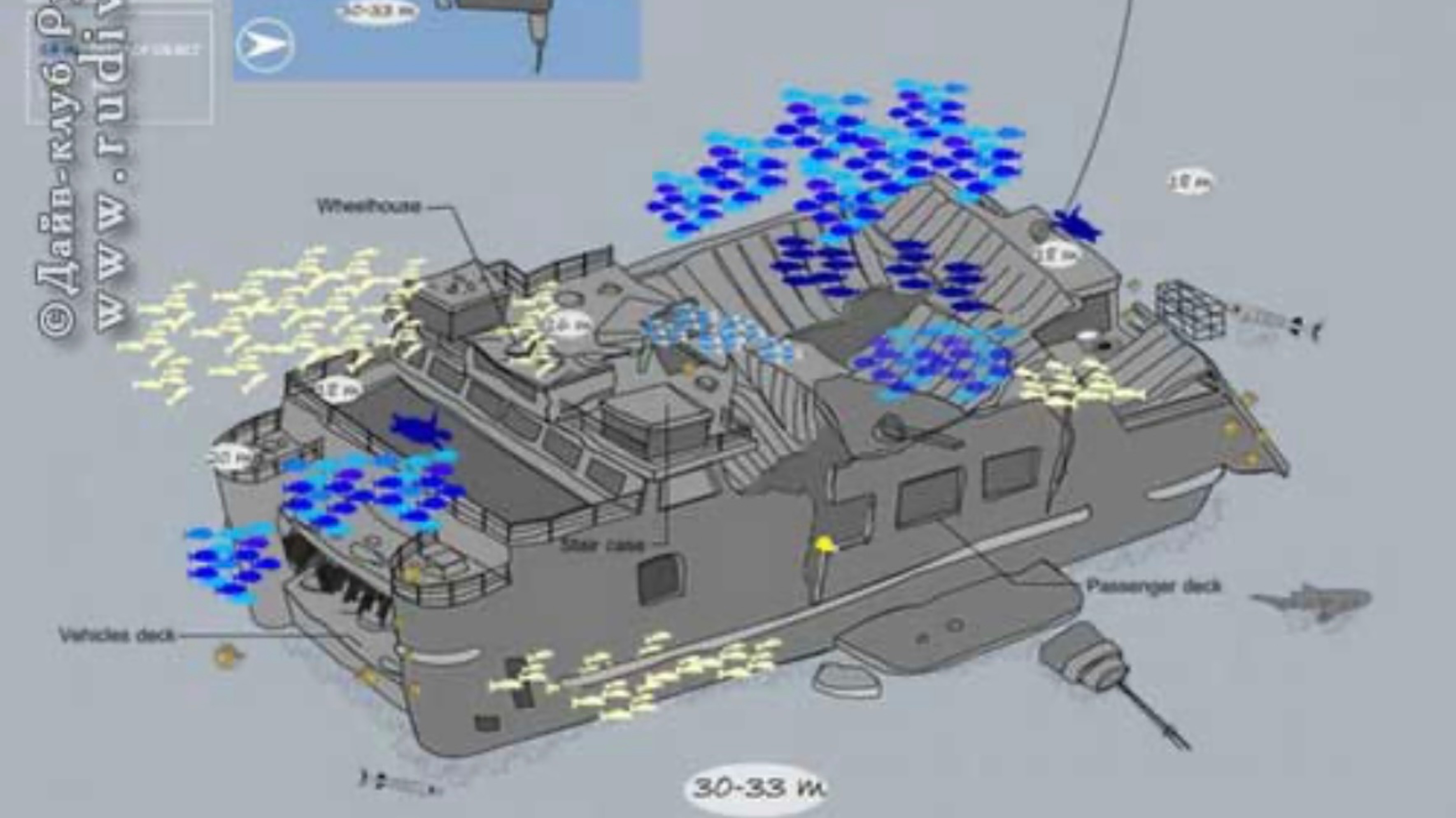 King Cruiser/ Кинг Круизер wreck, дайвинг в Таиланде, дайвинг на Пхукете 2023,2024