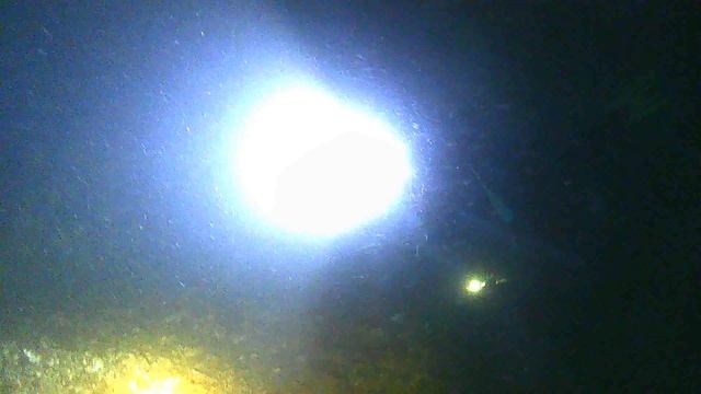 дайвинг на Пхукете, дайвинг в Таиланде cave diving 2024