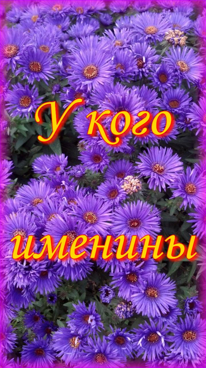 Кто сегодня именинник. У кого сегодня именины. 25 Октября