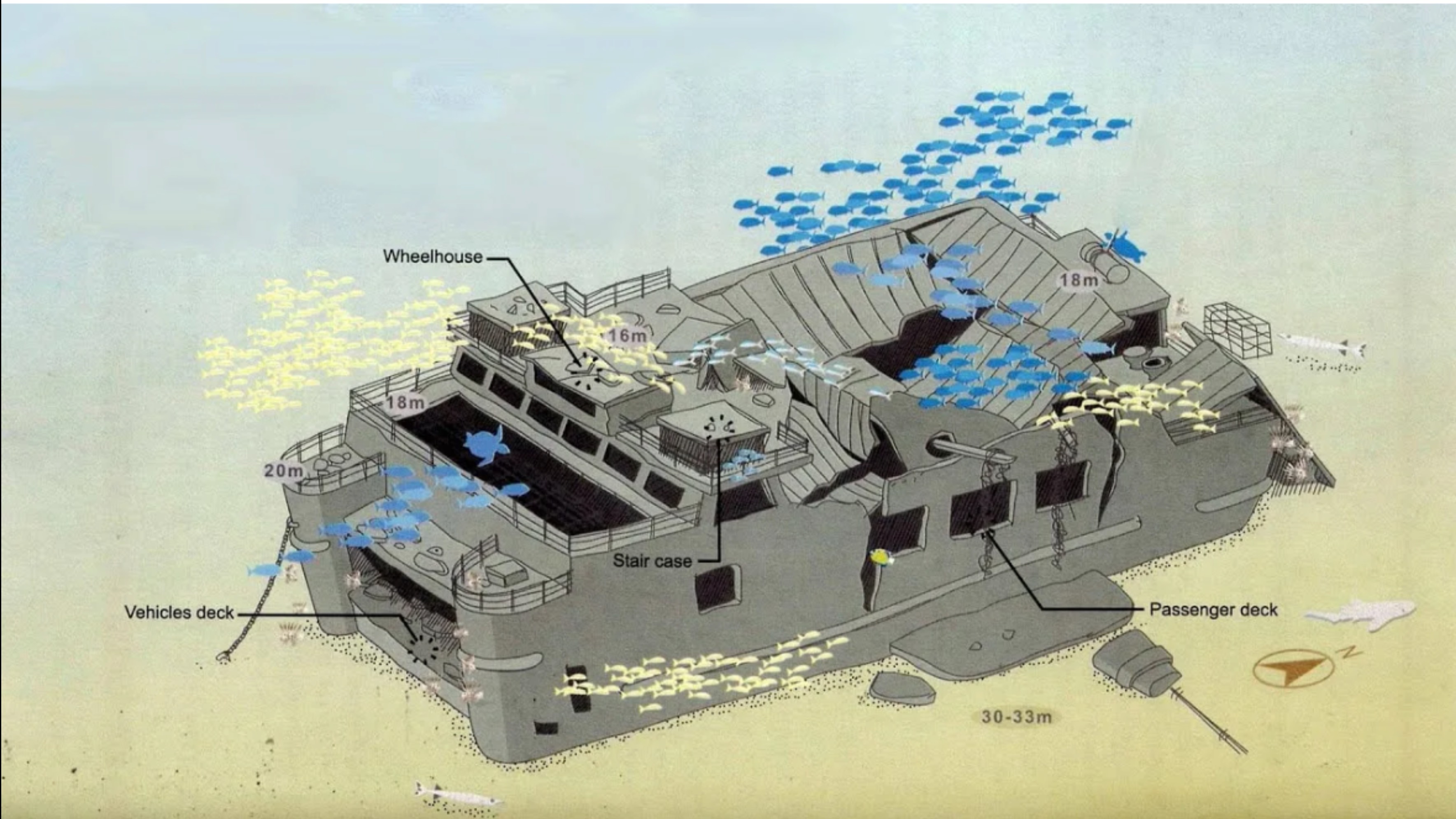 King Cruiser/ Кинг Круизер wreck, дайвинг в Таиланде, дайвинг на Пхукете,vehicles desk,2023