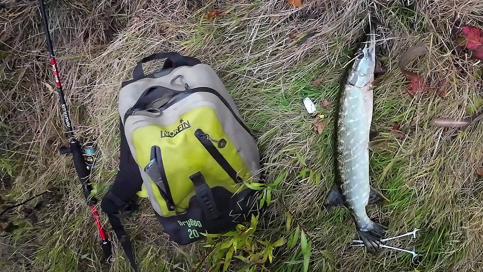 Осенняя ловля щук на спиннинг. Река Хопёр