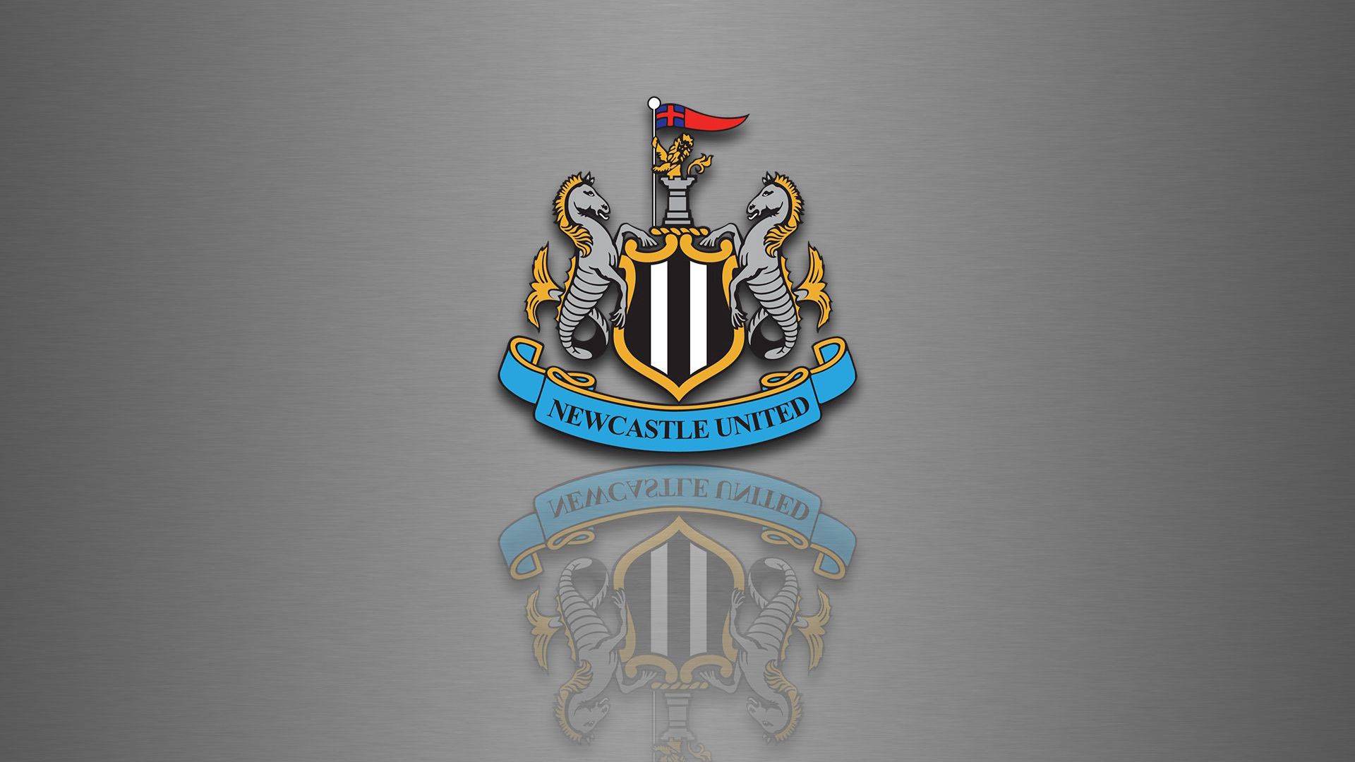 1-й тур   Ньюкасл-Вулверхэмптон