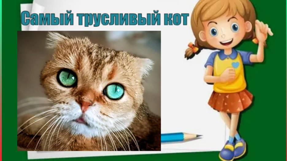 Кот - невидимка.