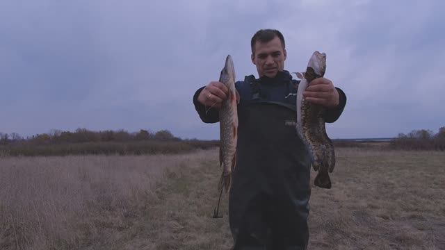 Рыбалка  на живца на малой реке. Хищник клюёт! Тычки на налима 2025. #3