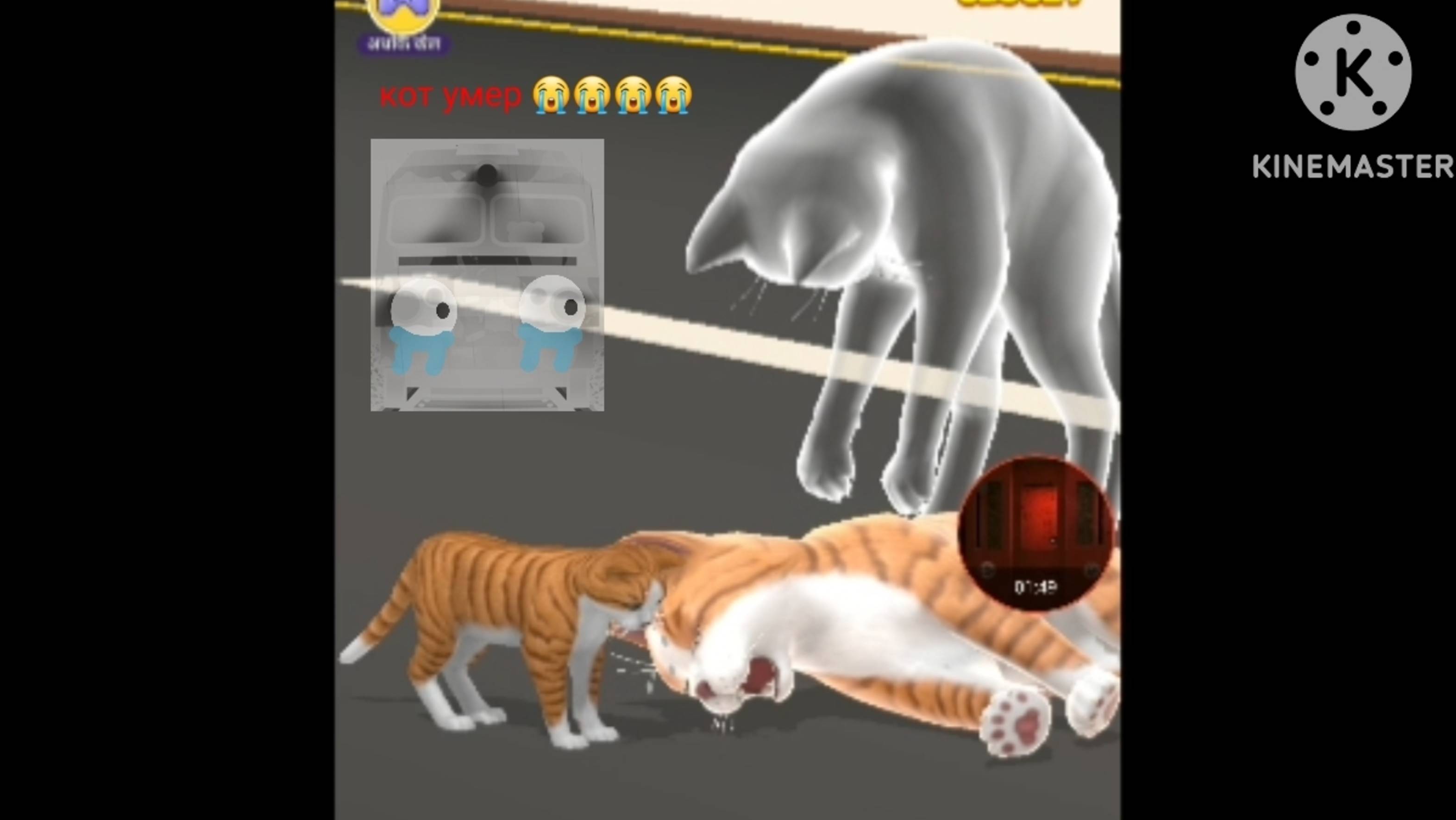 Этот кот умер😭😭😭😭😭😭😭😭😭😭