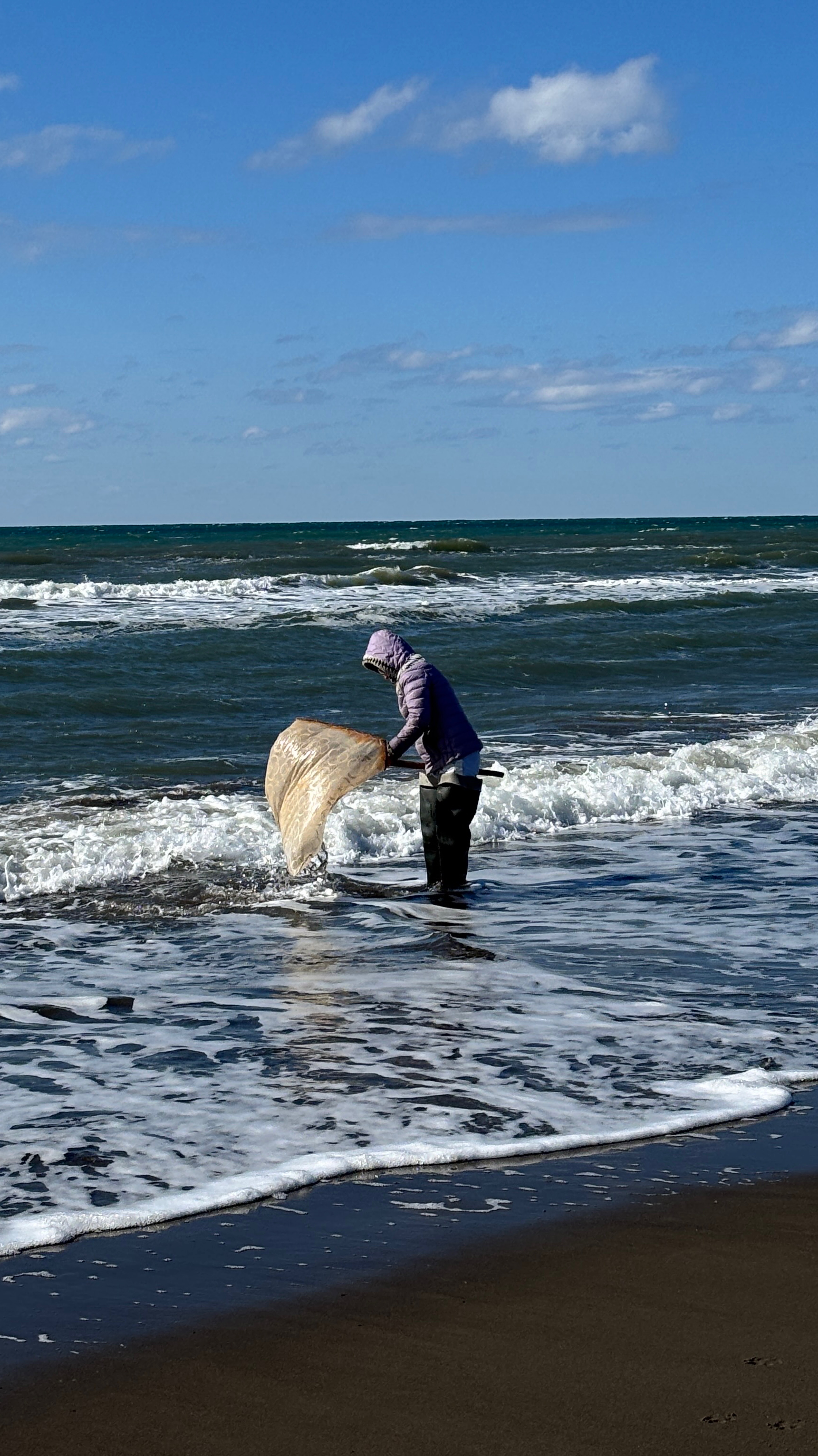 Криль, добываем прикорм для корюшки.