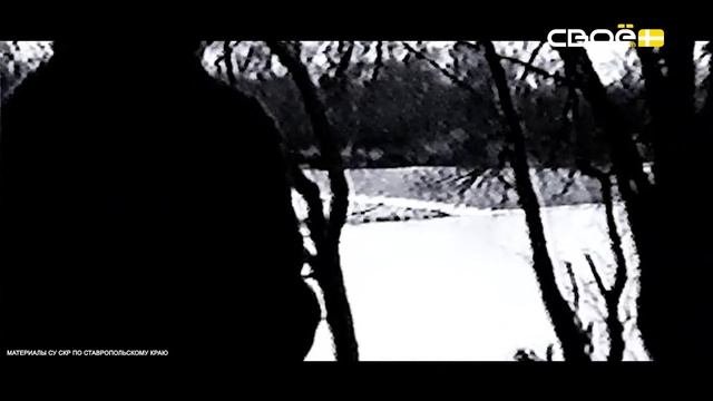 Выводы следствия. Воспоминания о деле Сливко