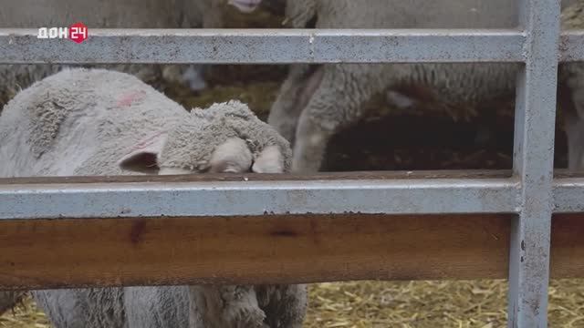 Касается каждого 20.10.2025 - Глава Белокалитвинского района Ольга Мельникова