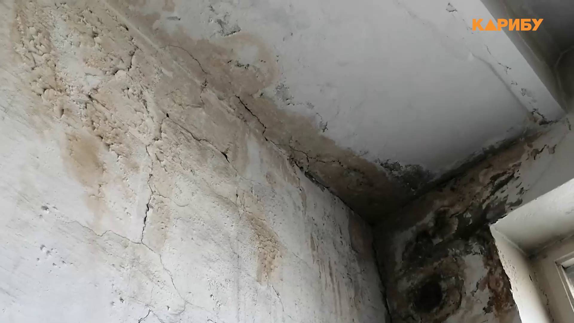 Черная плесень на стенах и вода с потолка: пенсионерка из Сусумана жалуется на проблемы ЖКХ