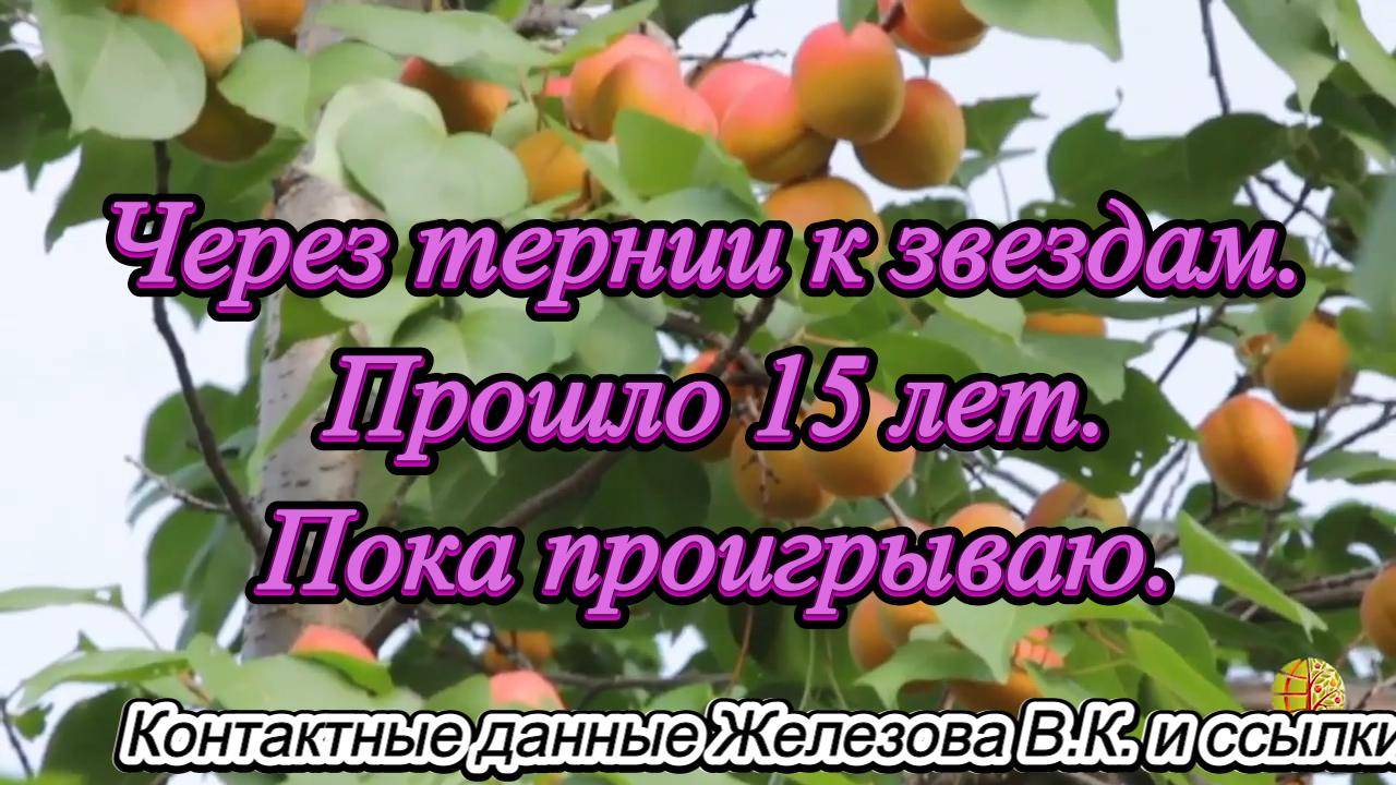 Через тернии к звездам. Прошло 15 лет. Пока проигрываю.