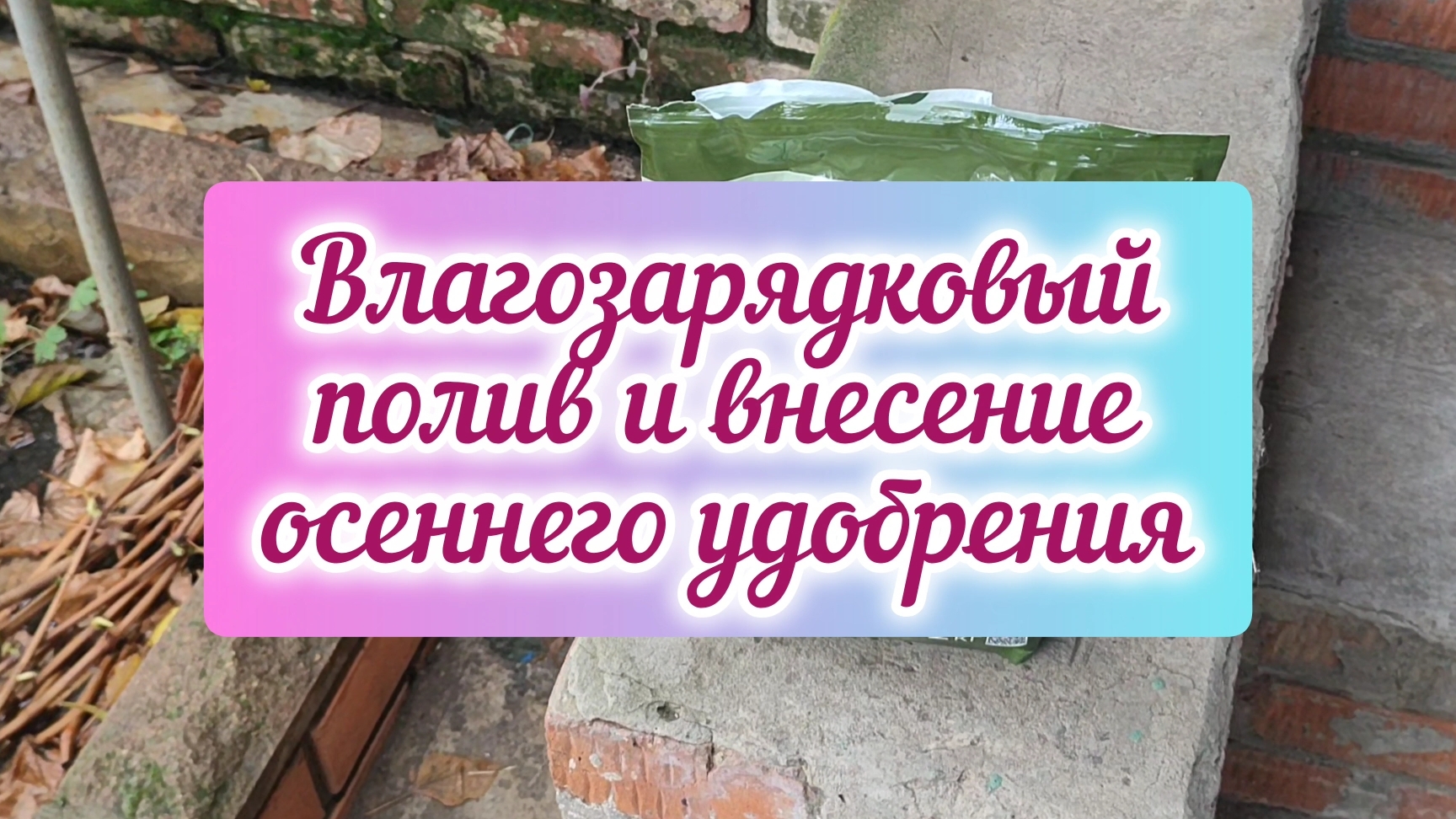 Влагозарядковый полив и внесение осеннего удобрения