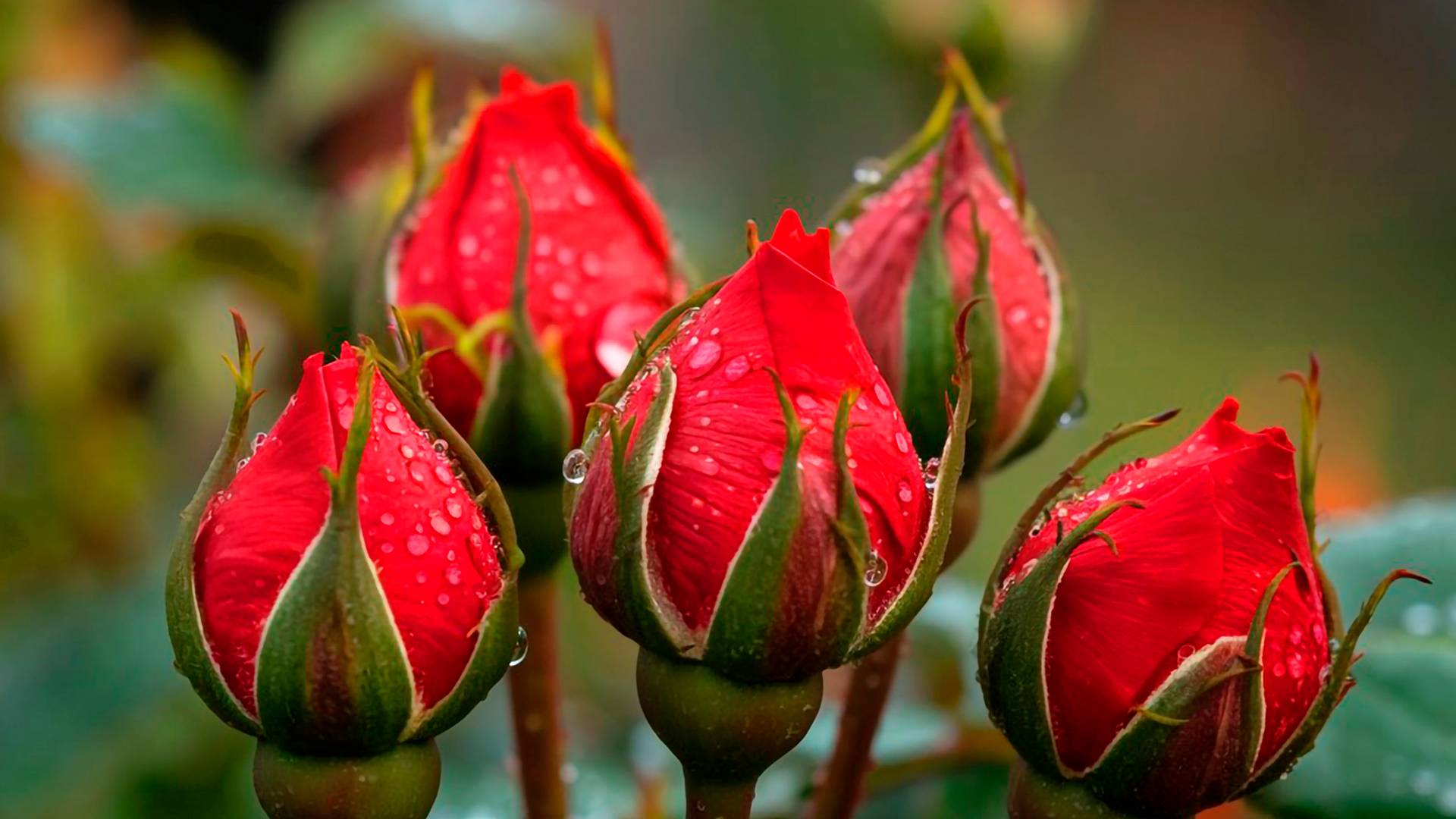 НЕЖНАЯ УСПОКАИВАЮЩАЯ МУЗЫКА ДЛЯ СНА СЛУШАТЬ ОНЛАЙН 🎵 КРАСИВАЯ МУЗЫКА ДЛЯ ДУШИ СЛУШАТЬ БЕСПЛАТНО