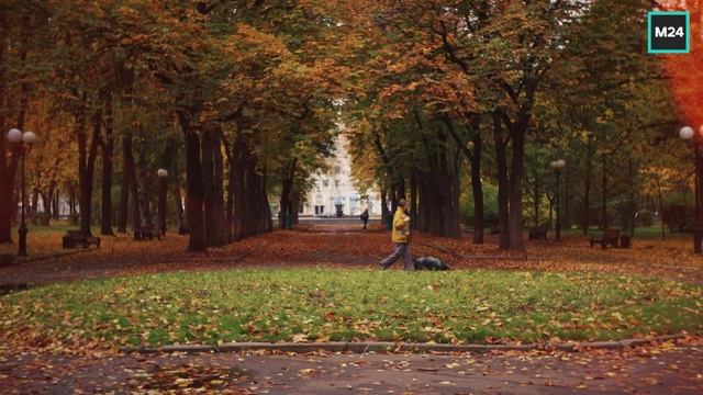 Осенняя прогулка | О Москве с любовью