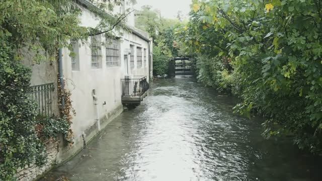 Кормление уток в городе Л’Иль-сюр-ла-Сорг (Франция).
