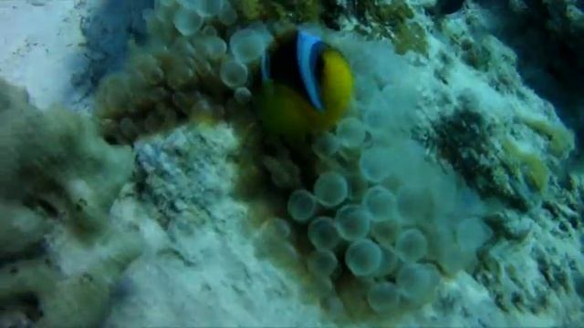 Отпуск на красном море